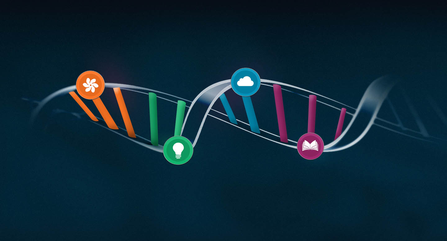 Peterborough DNA: Future cities programme - Opportunity Peterborough